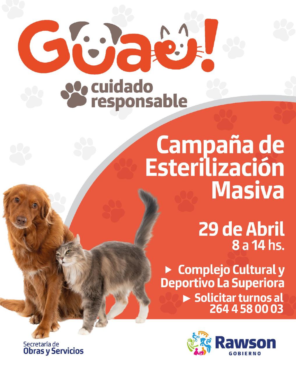 ...Así se celebra el Día del animal!!! Municipalidad de Rawson: 1er ...